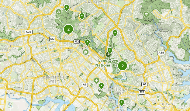 Best Forest Trails in Lane Cove National Park | AllTrails