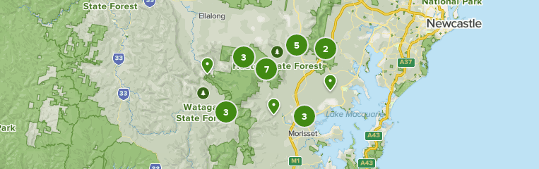 Best 10 Forest Trails in Watagans National Park | AllTrails