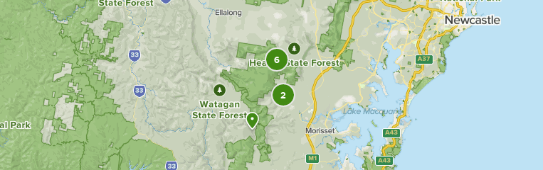 Best Moderate Trails in Watagans National Park | AllTrails
