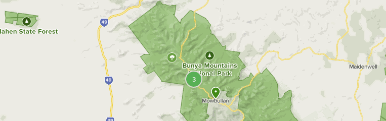 Best Walking Trails in Bunya Mountains National Park | AllTrails