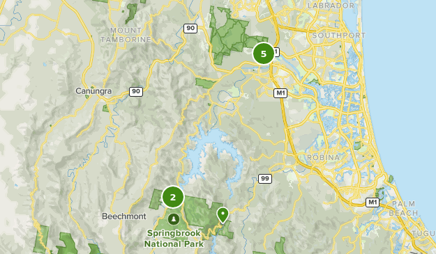 Best Forest Trails in Nerang National Park | AllTrails