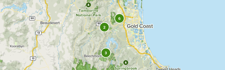 Best forest trails in Nerang National Park, Australia | AllTrails