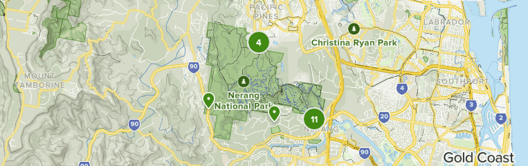 Best 10 Moderate Trails in Nerang National Park | AllTrails