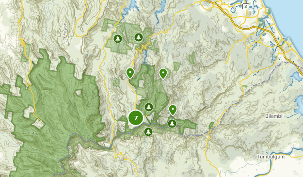Best Bird Watching Trails in Springbrook National Park | AllTrails