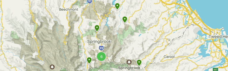 Best Easy Trails in Springbrook National Park | AllTrails