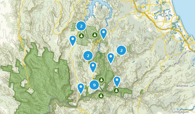 Best Views Trails in Springbrook National Park | AllTrails