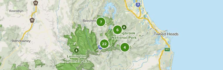Best walking trails in Springbrook National Park, Australia | AllTrails
