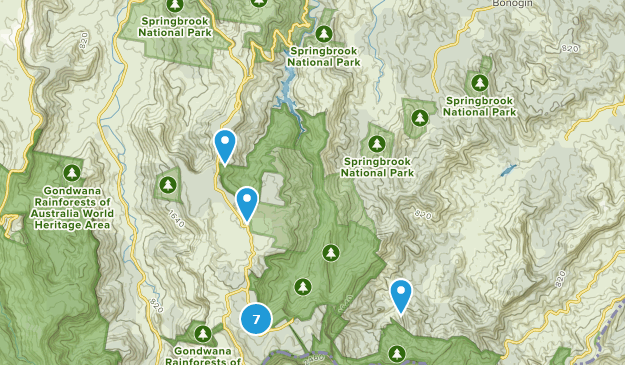 Best Waterfall Trails in Springbrook National Park | AllTrails