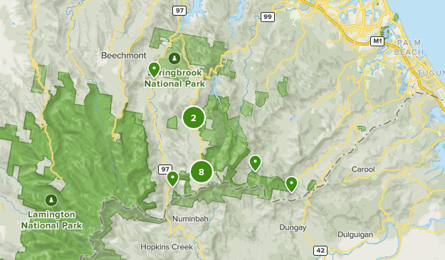 Best Waterfall Trails in Springbrook National Park | AllTrails