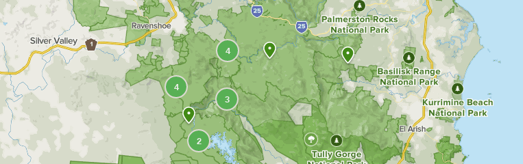 Best Forest Trails in Tully Gorge National Park | AllTrails