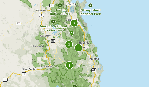 Best Walking Trails in Wooroonooran National Park | AllTrails