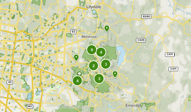 Best Running Trails in Dandenong Ranges National Park | AllTrails