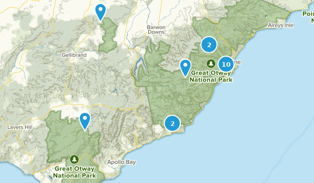 Best Forest Trails in Great Otway National Park | AllTrails