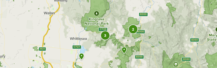 Best River Trails in Kinglake National Park | AllTrails
