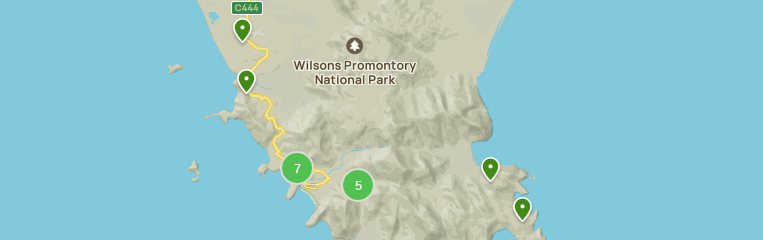 2023 Best 10 Wildflowers Trails in Wilsons Promontory National Park ...