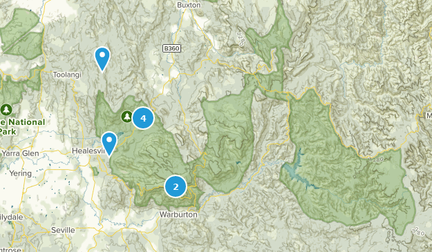 Best Walking Trails in Yarra Ranges National Park | AllTrails