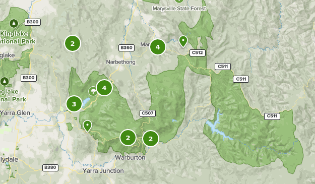 Best Walking Trails in Yarra Ranges National Park | AllTrails