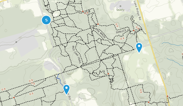 Best Dogs On Leash Trails in Durham Regional Forest | AllTrails