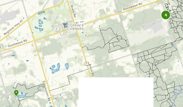 Best Kid Friendly Trails in Durham Regional Forest | AllTrails