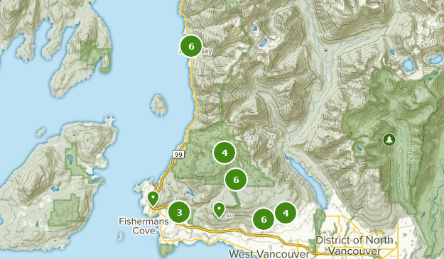 Best Walking Trails in Cypress Provincial Park | AllTrails