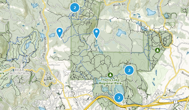 Best Trail Running Trails in Thetis Lake Regional Park | AllTrails