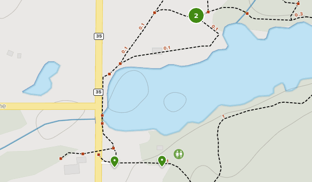 Best Bird Watching Trails in Springwater Conservation Area | AllTrails