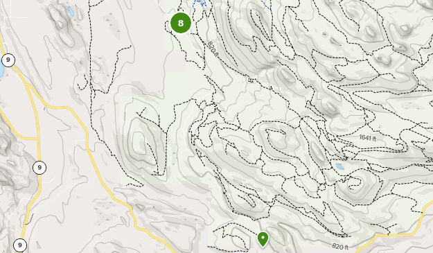 Best Forest Trails in Walker Valley ORV Recreational Area | AllTrails