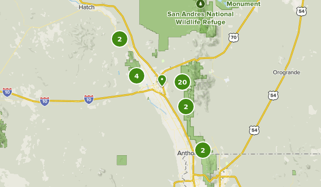 Best Wild Flowers Trails in Organ Mountain - Desert Peaks National ...