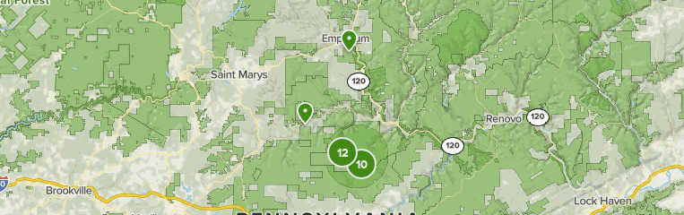 Best 10 Easy Trails in Elk State Forest | AllTrails