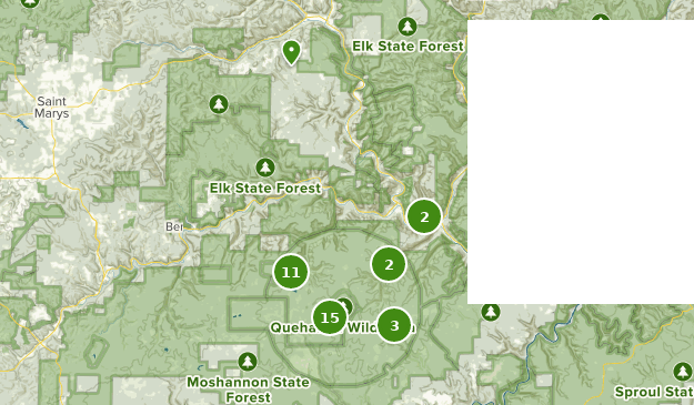 Best Views Trails in Elk State Forest | AllTrails