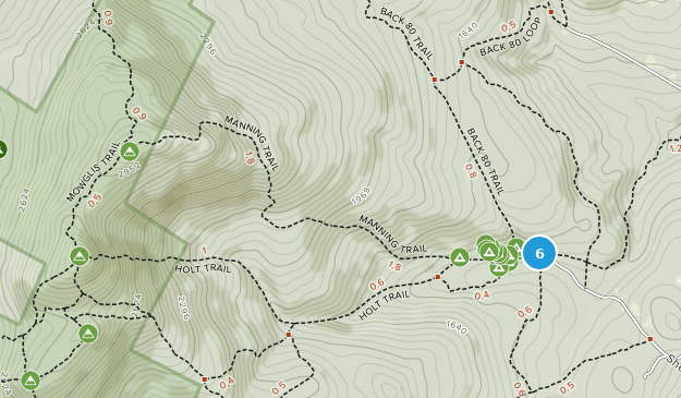 Best Walking Trails in Cardigan Mountain State Park | AllTrails