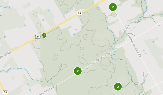 Best Forest Trails in Backus Woods | AllTrails