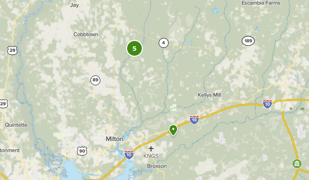 Best Horseback Riding Trails in Blackwater River State Forest | AllTrails