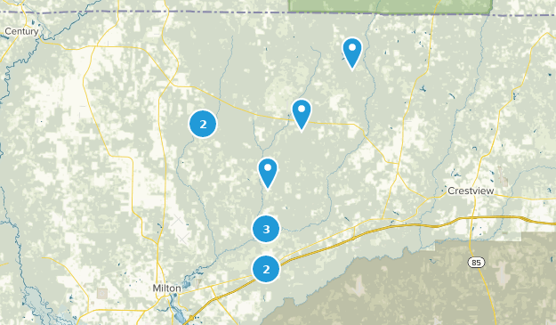 Best Running Trails in Blackwater River State Forest | AllTrails