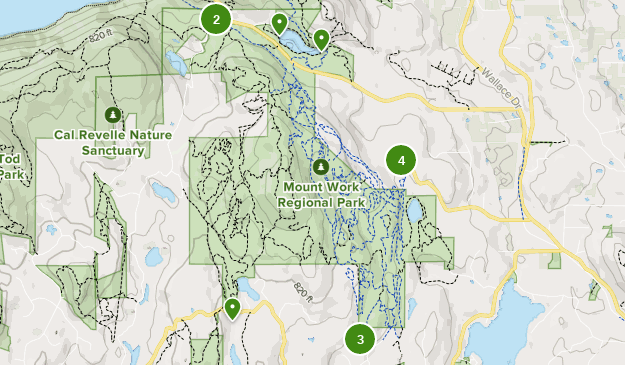 Best Mountain Biking Trails in Mount Work Regional Park | AllTrails
