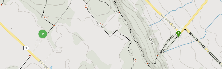 2023 Best Forest Trails in Mount Nemo Conservation Area | AllTrails