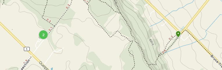 Best Forest Trails in Mount Nemo Conservation Area | AllTrails