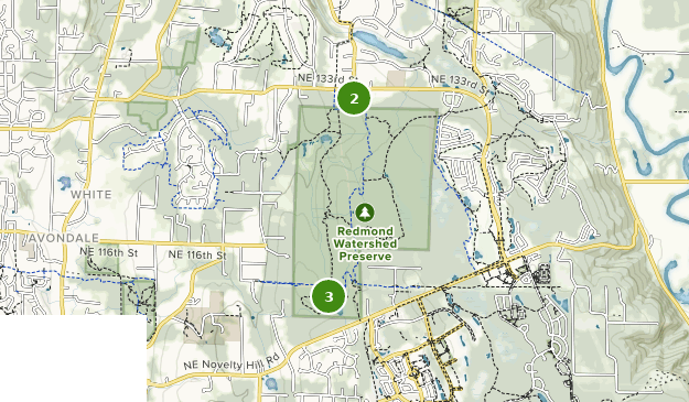 Best Walking Trails in Redmond Watershed Preserve | AllTrails