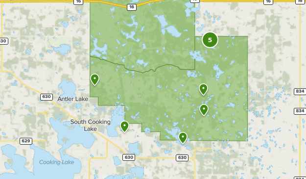 Best Running Trails in Cooking Lake/Blackfoot Provincial Recreation ...