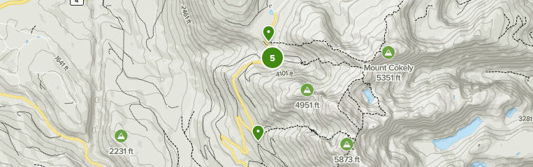 Best Bird Watching Trails in Mount Arrowsmith Regional Park | AllTrails