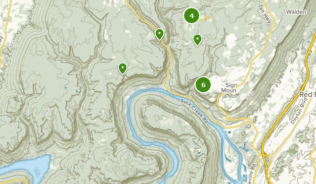 Best Running Trails in Prentice Cooper State Forest | AllTrails