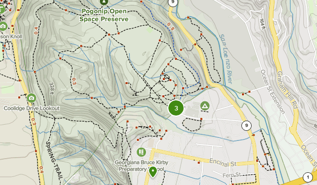 Best Bird Watching Trails in Pogonip Open Space Preserve | AllTrails