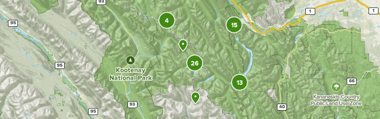 Best 10 Forest Trails in Mount Assiniboine Provincial Park | AllTrails