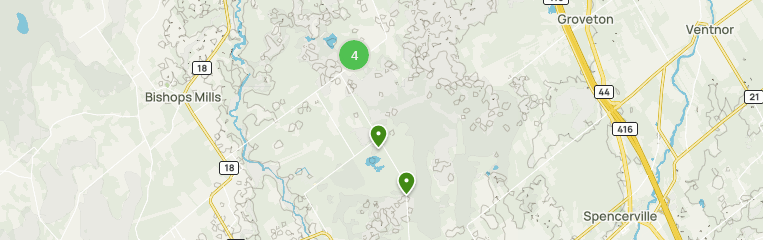 Best Walking Trails in Limerick Forest South | AllTrails