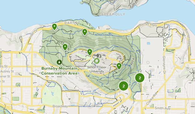 Best Forest Trails in Burnaby Mountain Conservation Area | AllTrails