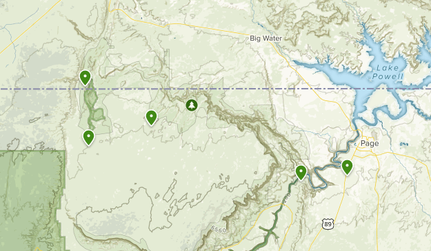 Best Kid Friendly Trails in Paria Canyon-Vermilion Cliffs Wilderness ...