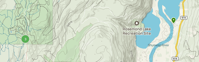 2023 Best Wild Flowers Trails in Larch Hills Trails Recreation Site ...