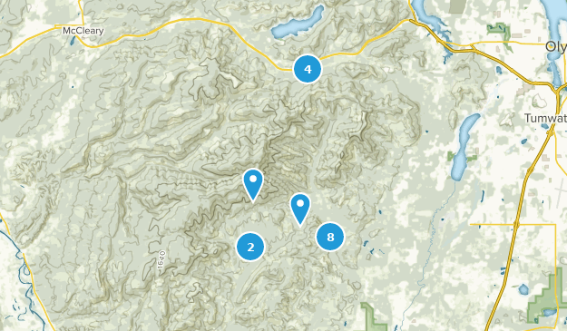 Best Off Road Driving Trails in Capitol State Forest | AllTrails