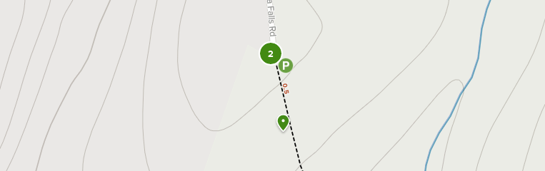 Best Forest Trails in Neversink River Unique Area | AllTrails