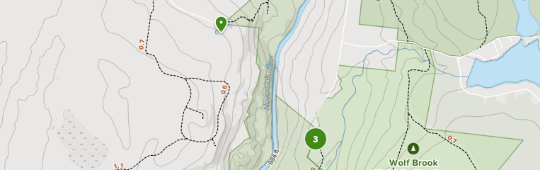 Best Hikes and Trails in Neversink River Unique Area | AllTrails